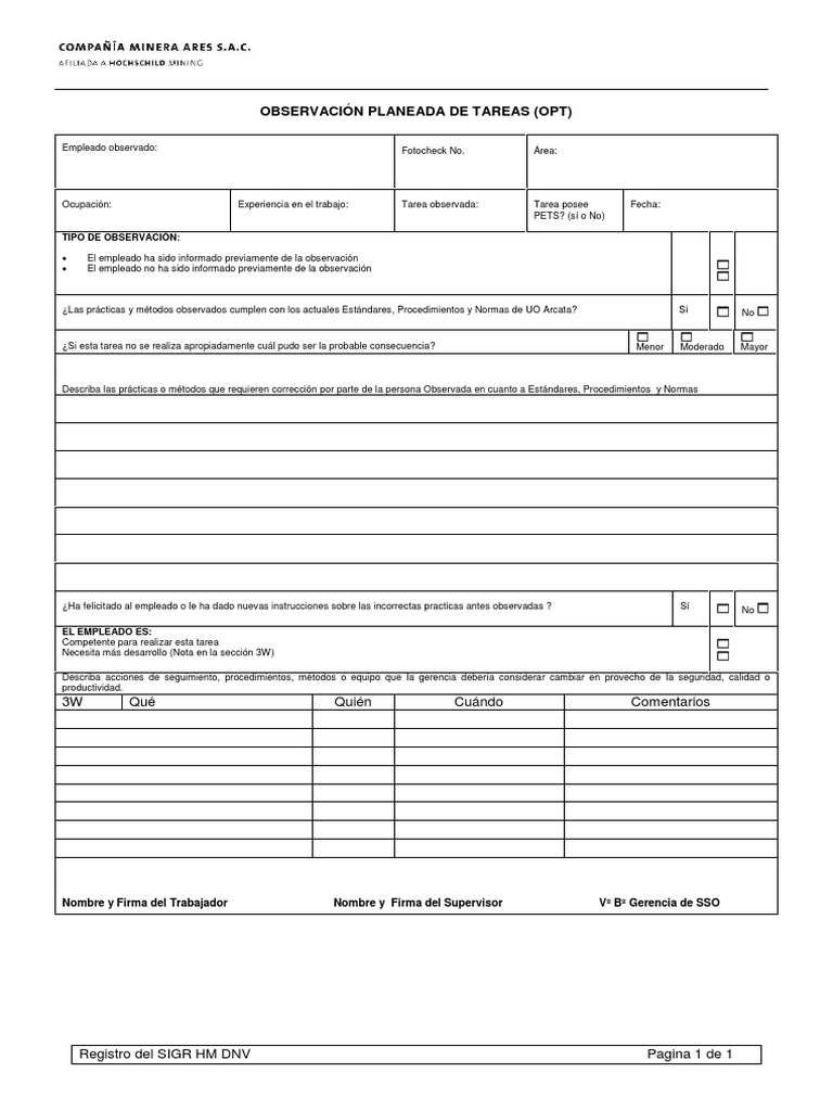 Formato OPT | Tecnología | Informática y tecnología de la información