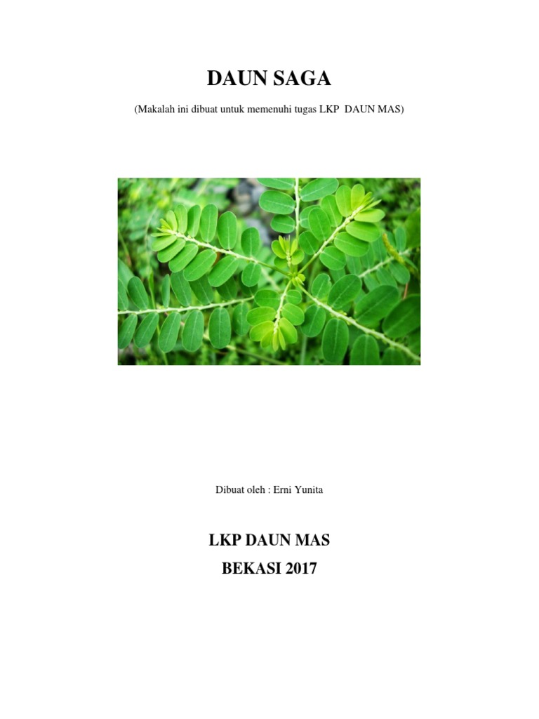 Daun Saga | PDF