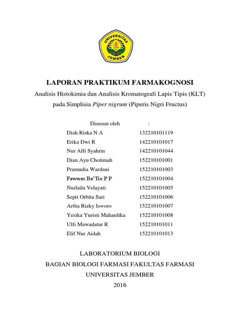 PIPERIS | PDF | Kesehatan Holistik