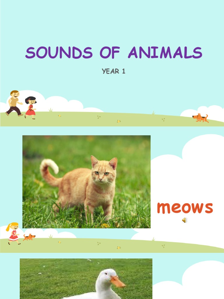 Sounds of Animals | PDF
