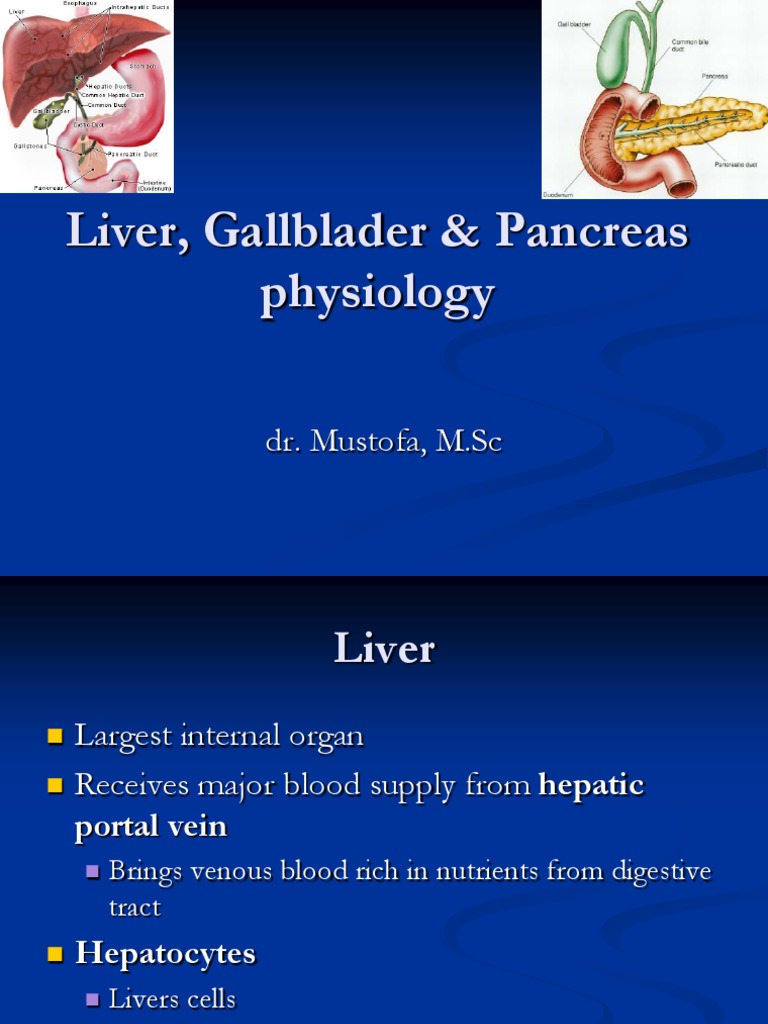 Fisiologi Hati Dan Pankreas-Digest12 | PDF | Pancreas | Liver