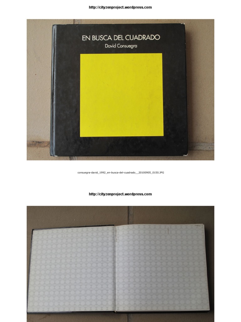 Consuegra David 1992 en Busca Del Cuadrado | PDF
