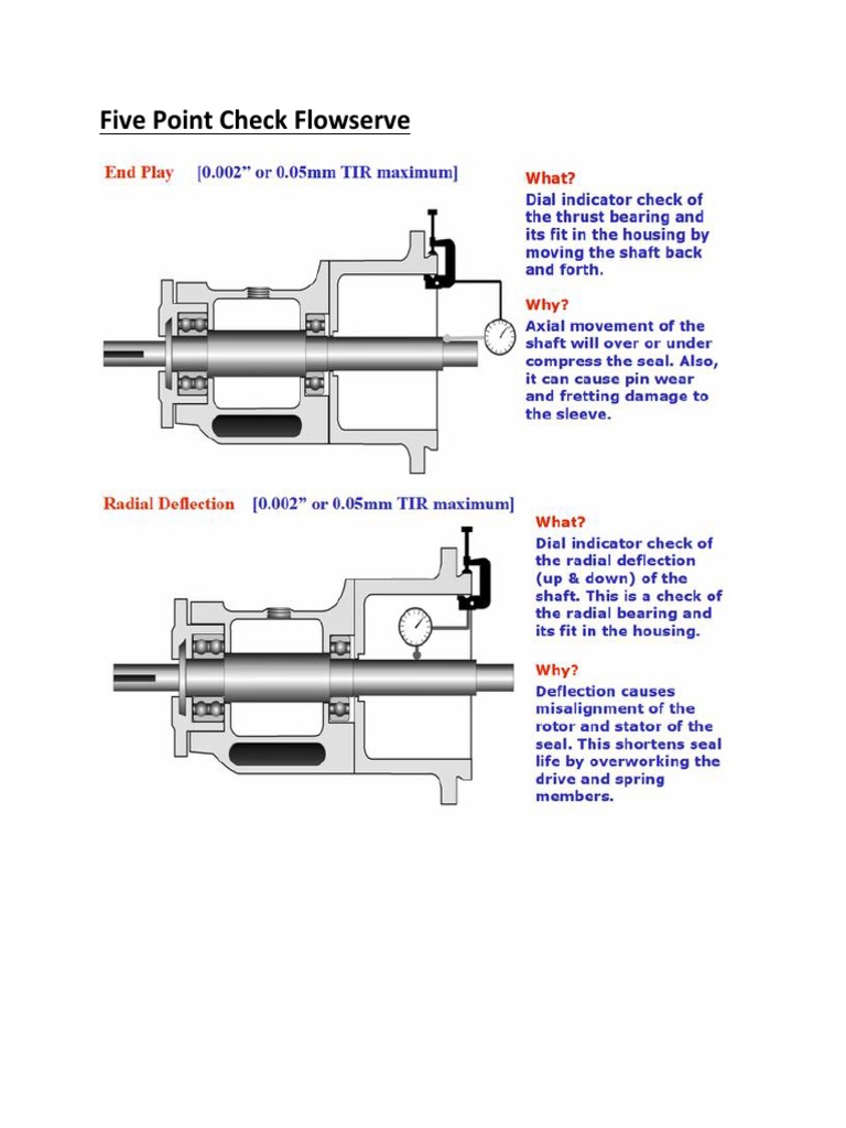 5 Point Check Flowserve Pump | PDF