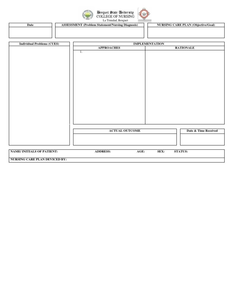 BSU-Nursing NCP Template | PDF