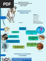 Ciclo de Vida de La Vaca | PDF | Vacas | Leche