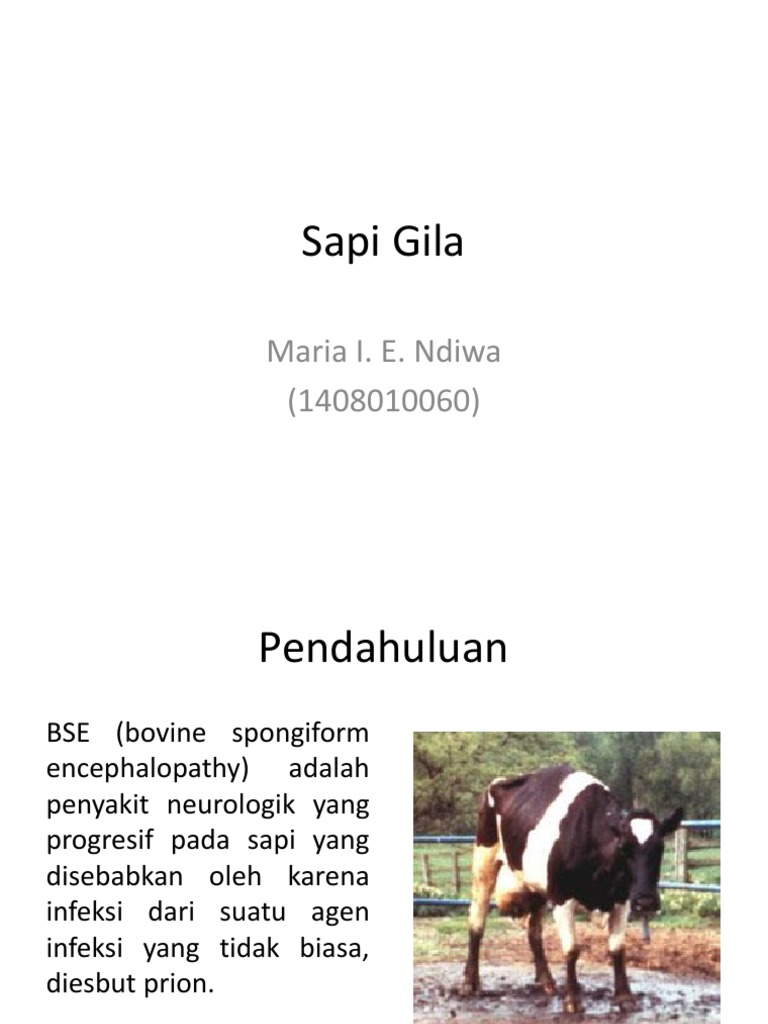 Penyakit Sapi Gila dan CJD: Gejala & Pencegahan | PDF