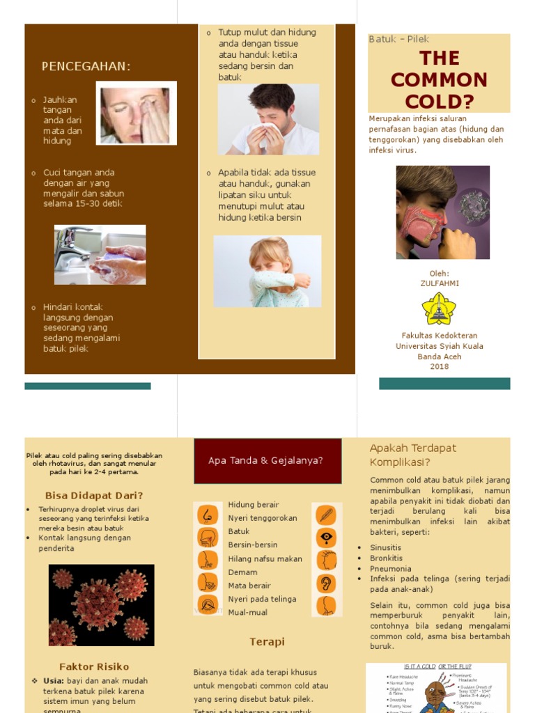 Leaflet Common Cold | PDF