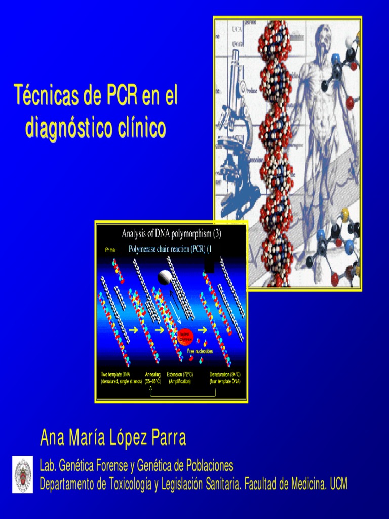 Tecnicas de PCR | PDF | Reacción en cadena de la polimerasa | Primer ...