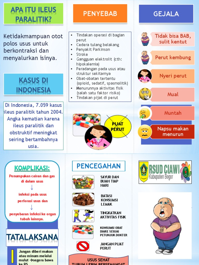 Leaflet Penyuluhan Ileus Paralitik | PDF