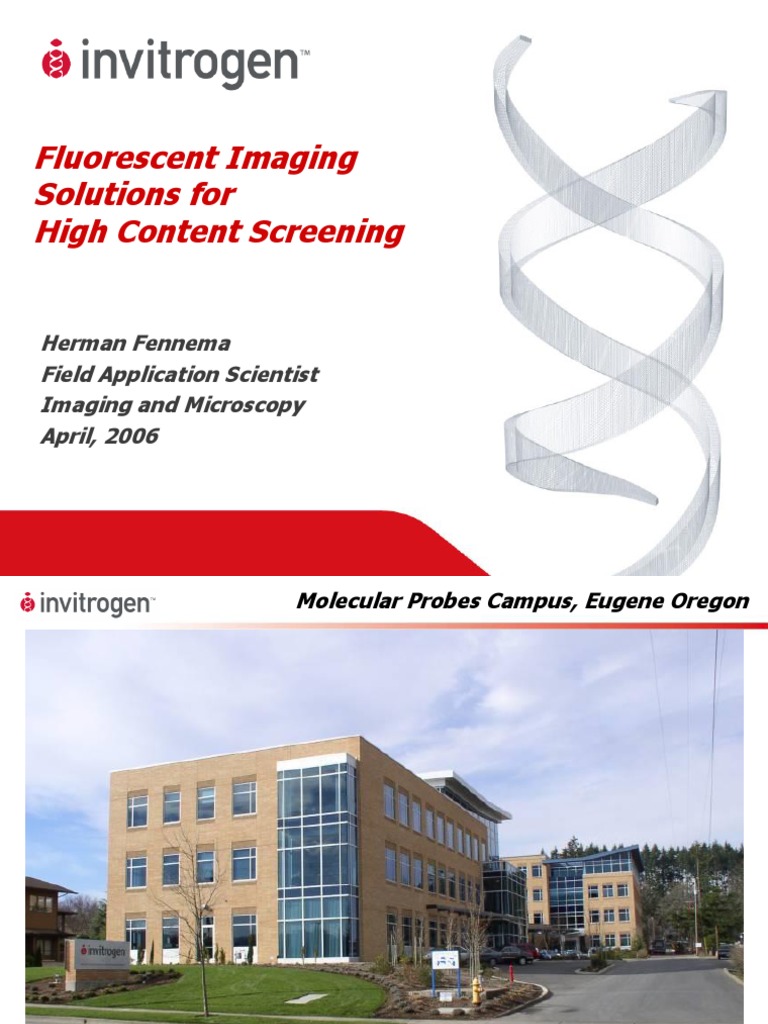Fluorescent Imaging Solutions For High Content Screening | PDF ...