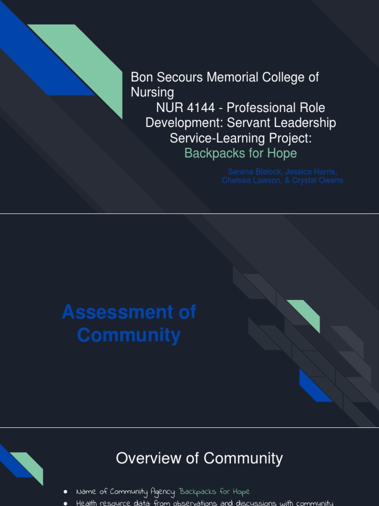 Professional Role Development Service-Learning Project | PDF | Service ...