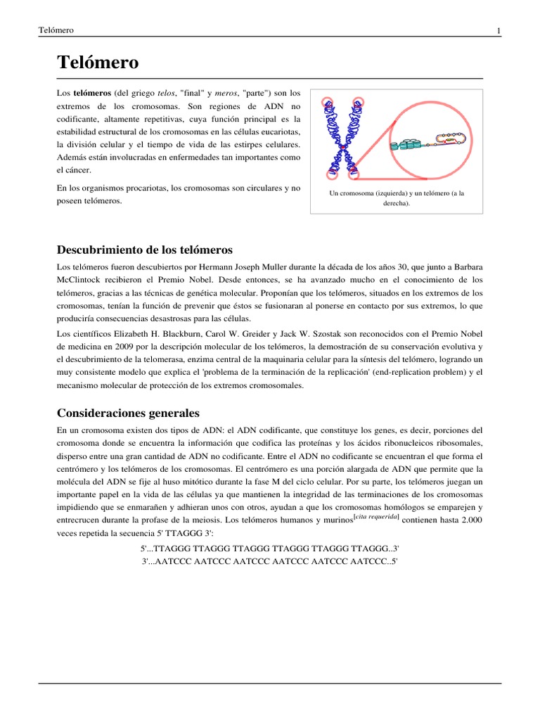 Telómeros | PDF | Telómero | Biología Celular