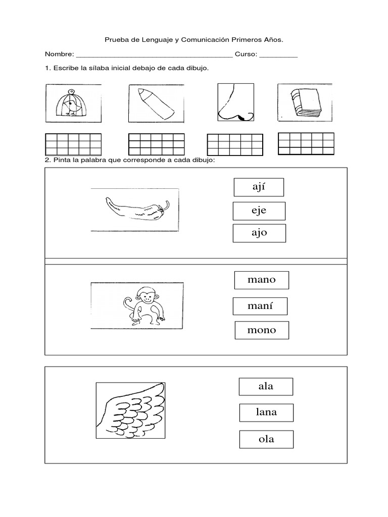 Ejemplo de Evaluación de La Letra PDF | PDF | Idiomas