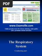 Respiratory System Mnemonics Guide | PDF