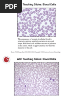 Ihc Ventana Protocol | PDF