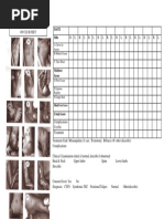 AOFAS Ankle Hindfoot Scale.d5404138 | PDF | Anatomical Terms Of Motion ...