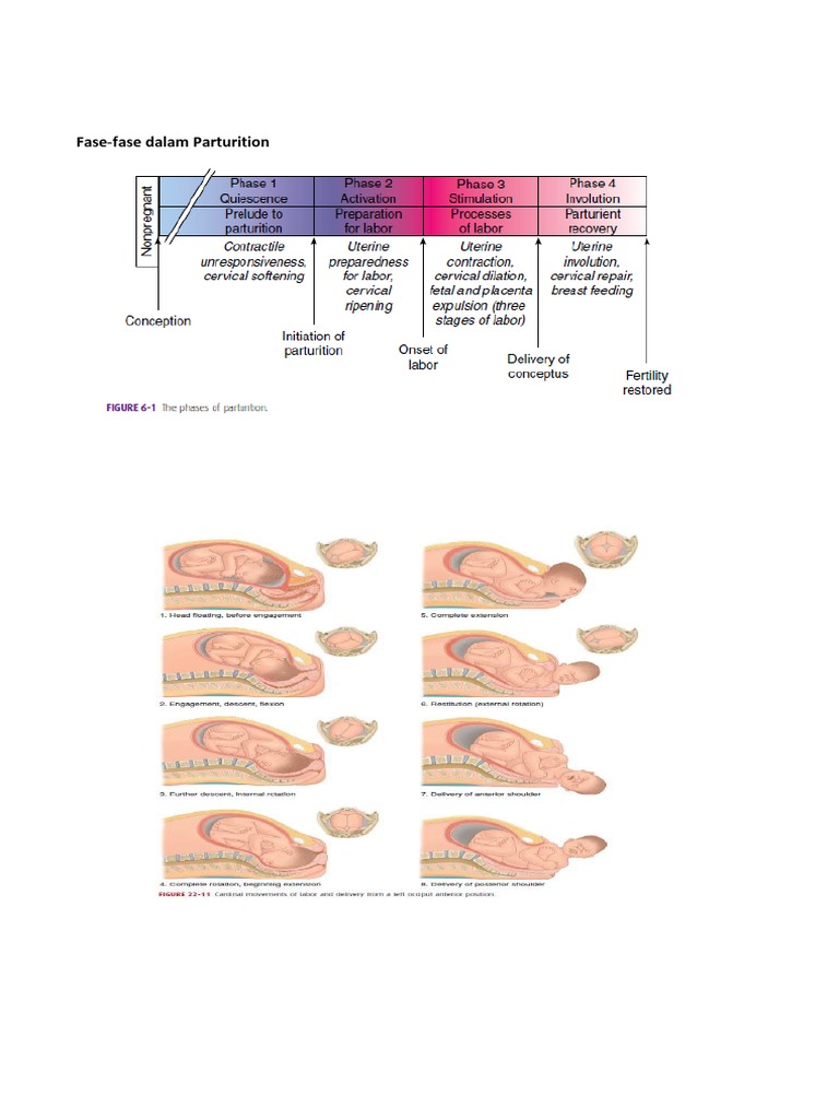 Cardinal Movement | PDF