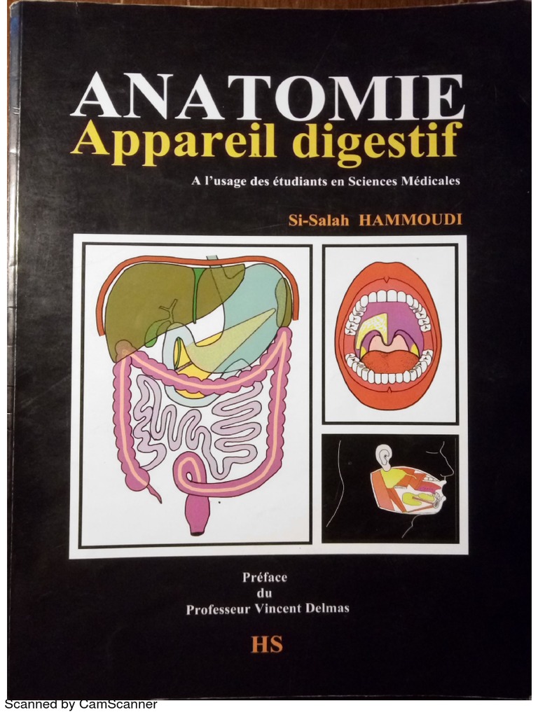 Anatomie de L'appareil Digestif - PR Hammoudi Si Salah - Part 1 | PDF
