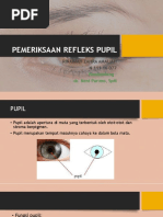 Ukuran Normal Pupil Mata | PDF