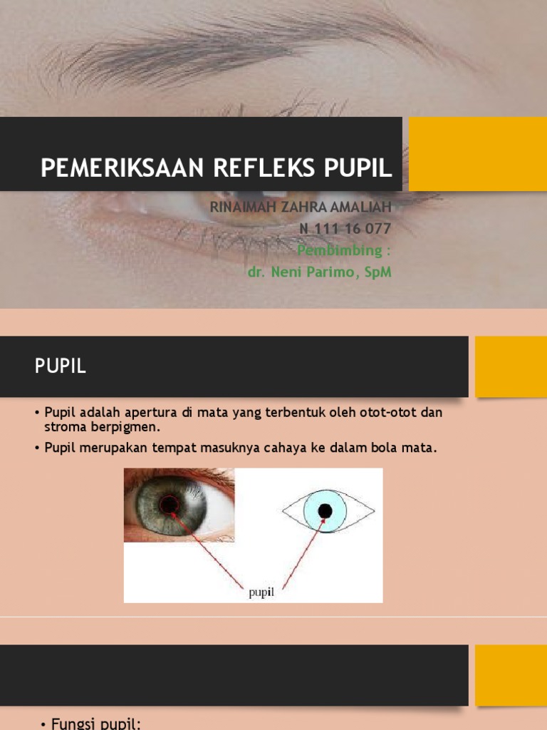 Pemeriksaan Refleks Pupil dan Ukuran | PDF