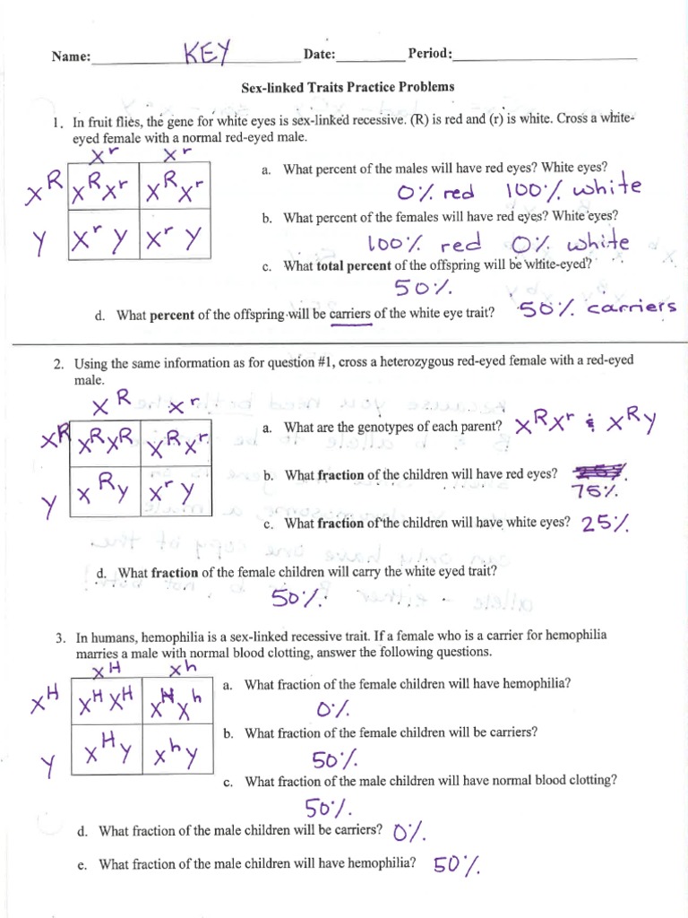 Sex Linked Traits Answer Key | PDF