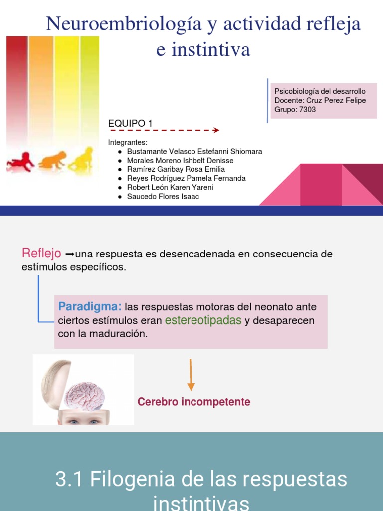 Neuroembriología y Actividad Refleja e Instintiva - Versión Final ...