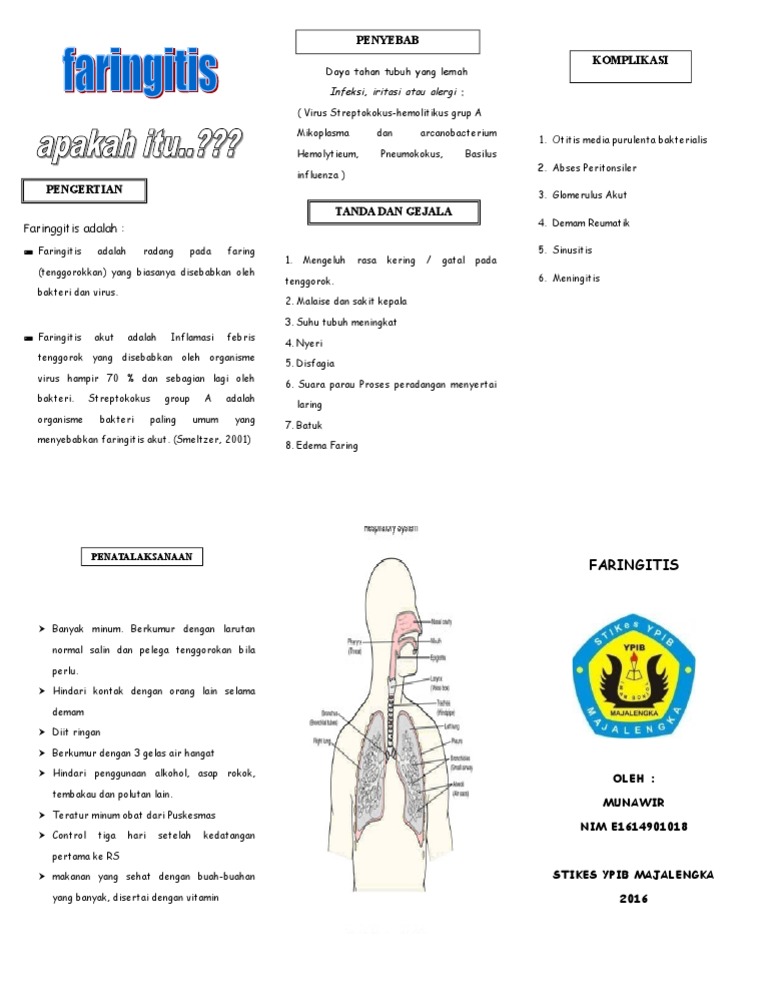 LEAFLET Faringitis | PDF