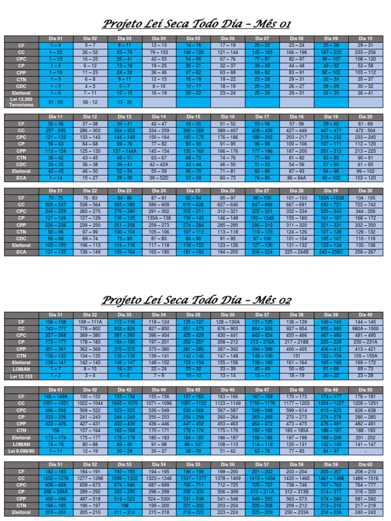 Projeto Lei Seca Todo Dia | PDF