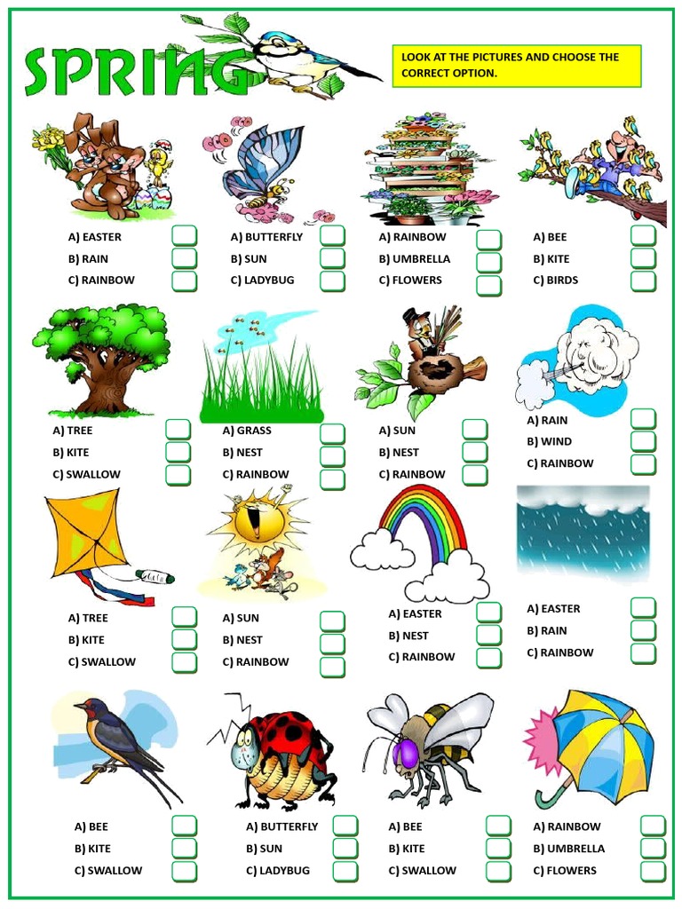 Spring Worksheet 1 | PDF