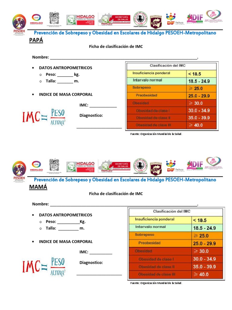 Ficha de Registro de Imc PDF | PDF