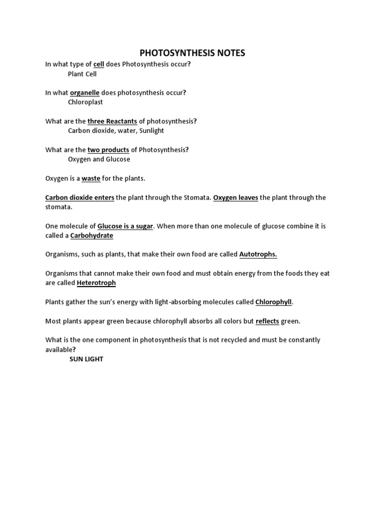 Photosynthesis Notes | PDF | Photosynthesis | Plants