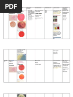 Microbiology Mnemonics by Sandra | PDF | Pneumonia | Bacillus
