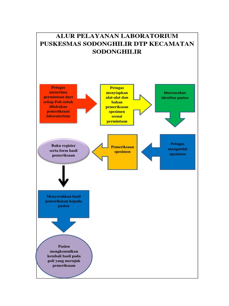 Alur Pelayanan Laboratorium | PDF