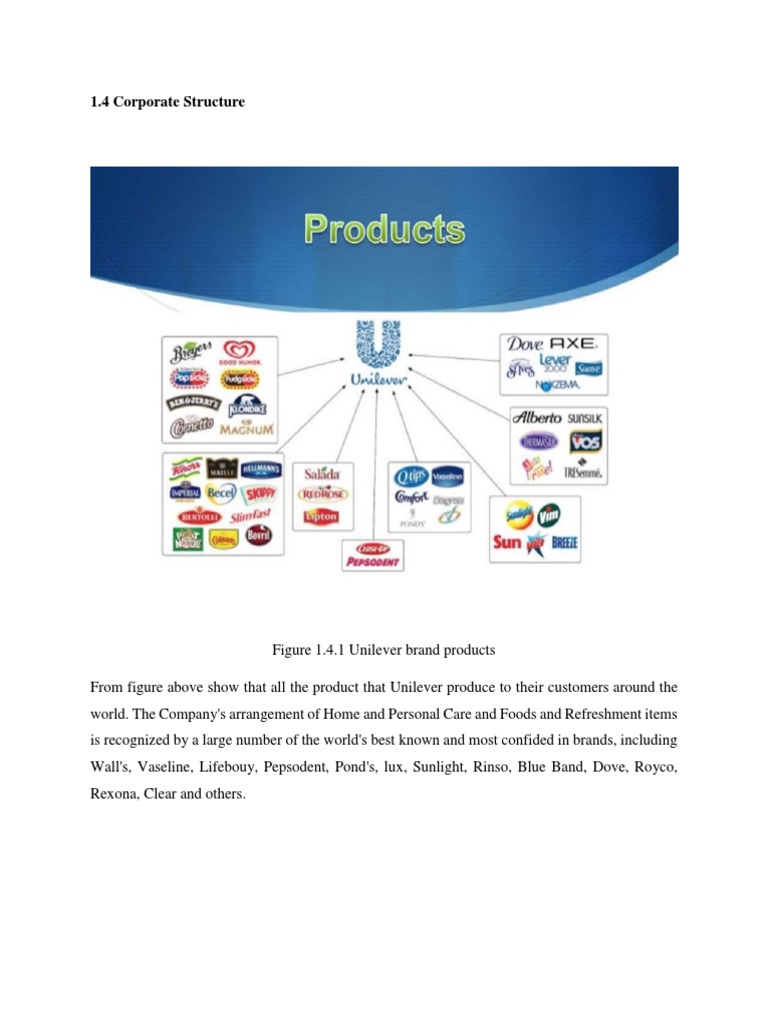 Unilever | PDF | Corporate Social Responsibility | Unilever