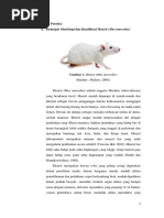 Penjelasan Anatomi Mencit | PDF