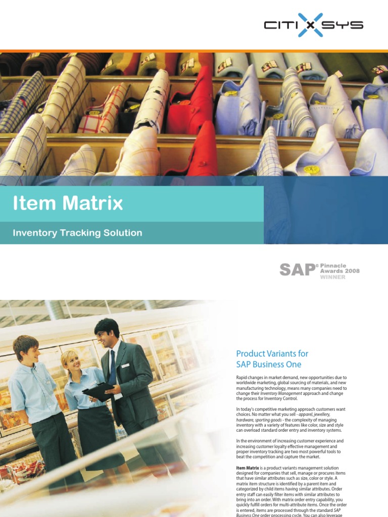 Item Matrix For SAP Business One | PDF | Inventory | Marketing
