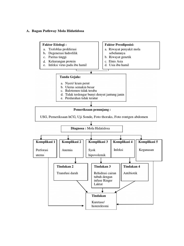Bagan Pathway Mola Hidatidosa