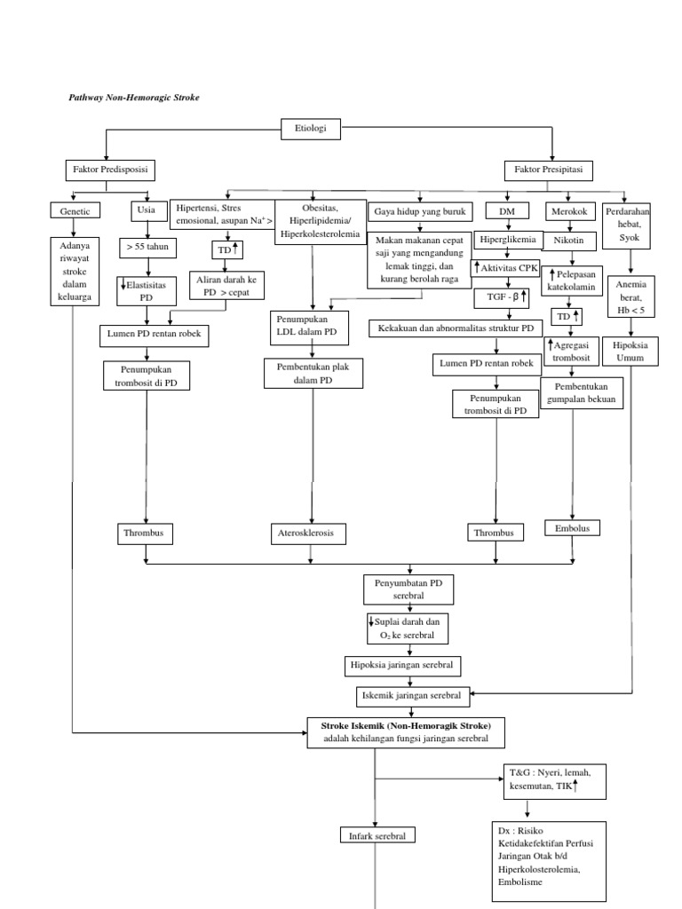 Pathway NHS | PDF
