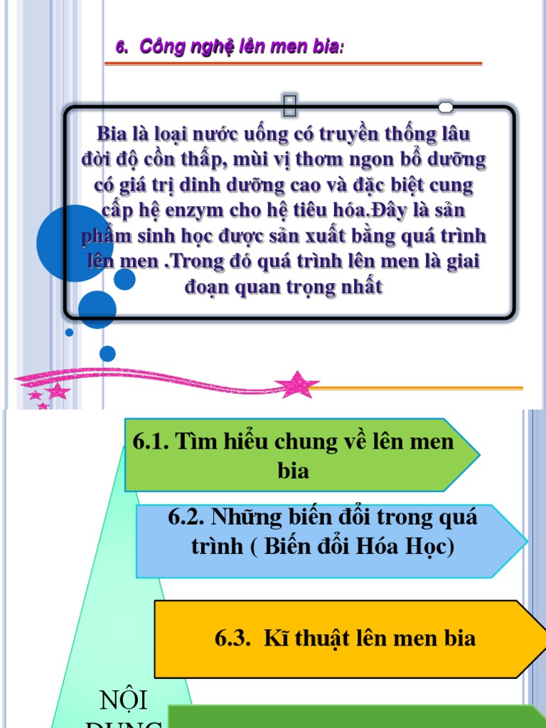 Quá Trình Lên Men Bia | PDF