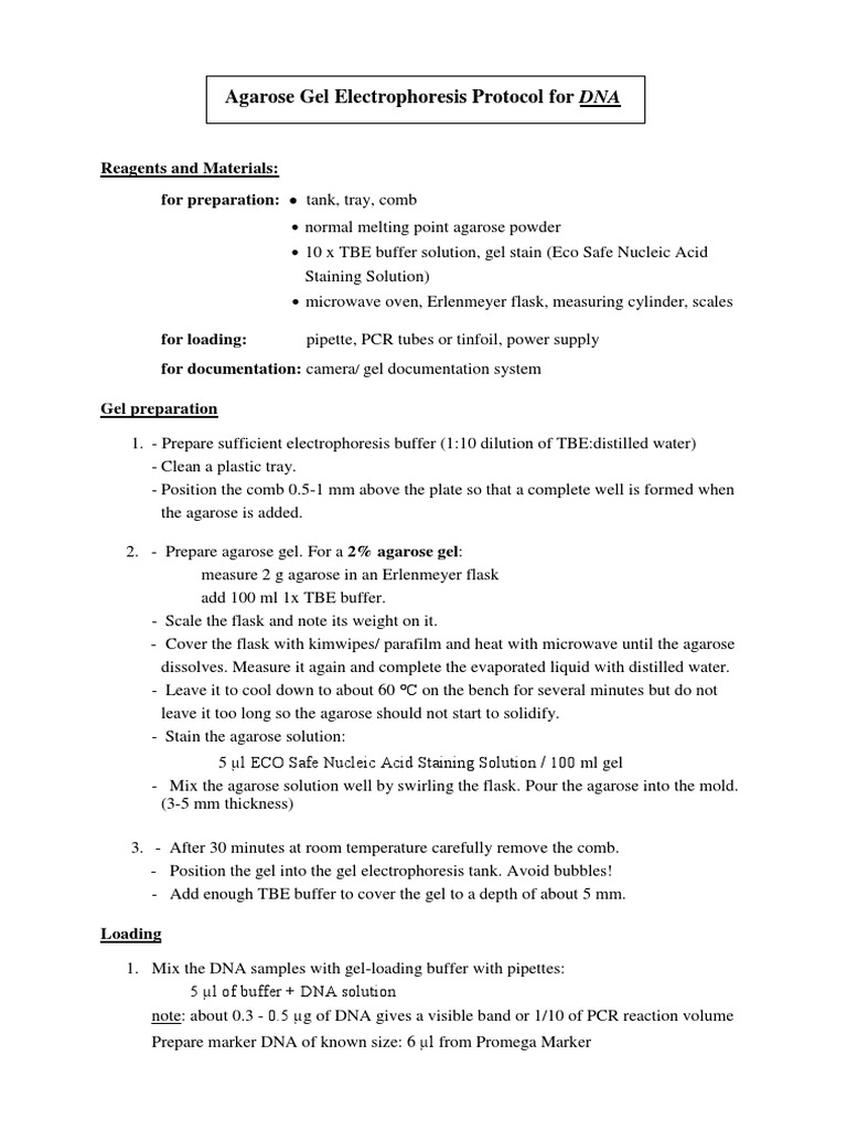 Agarose Gel Electrophoresis Protocol | PDF | Agarose Gel ...