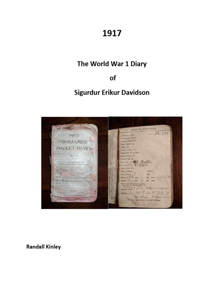 World War 1 Diary | PDF | Violence | Armed Conflict