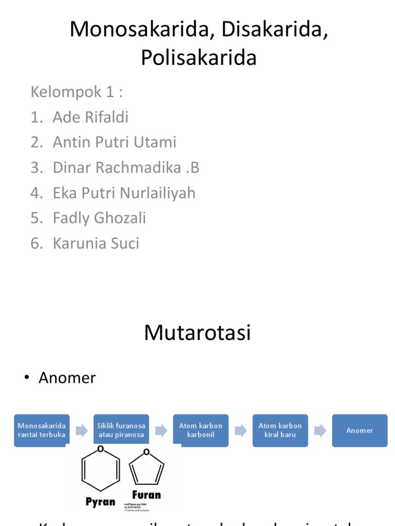 Monosakarida, Disakarida, Polisakarida | PDF