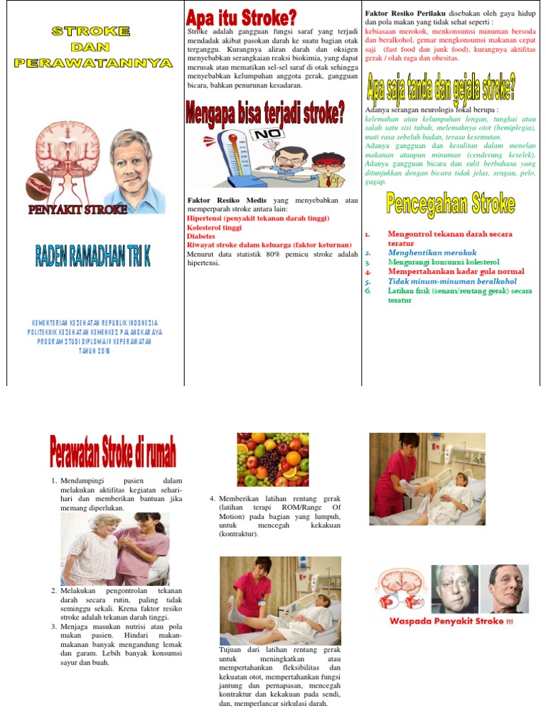 Leaflet SNH | PDF