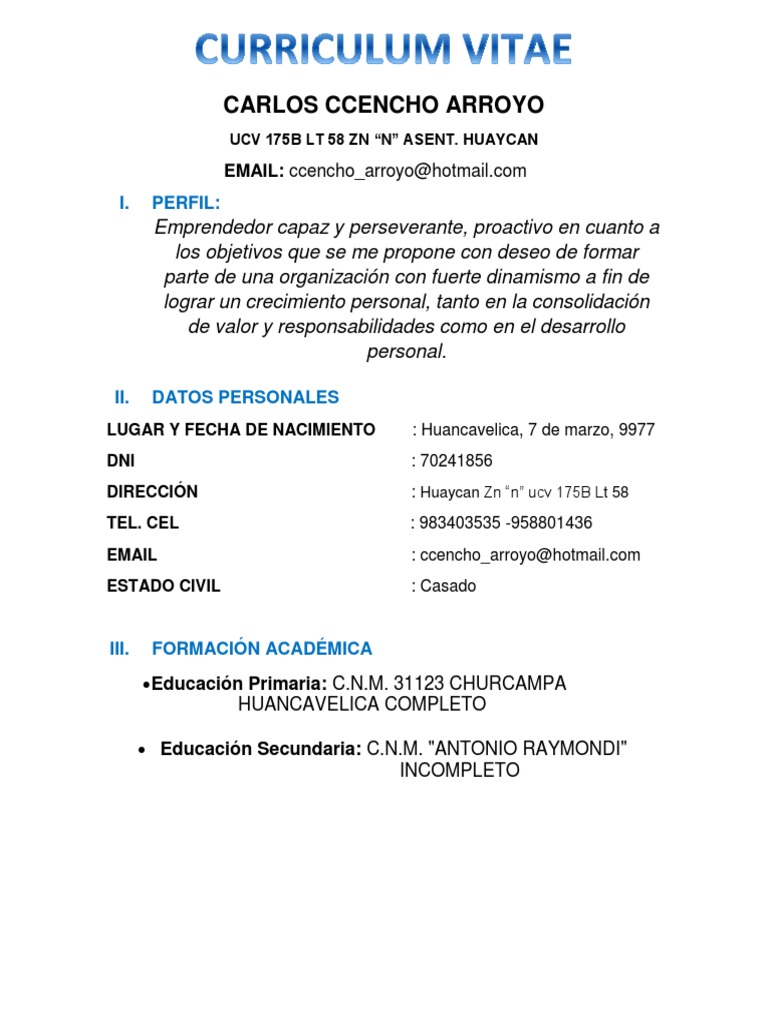 CURRICULUM VITAE Ccencho Arroyo Carlos | PDF