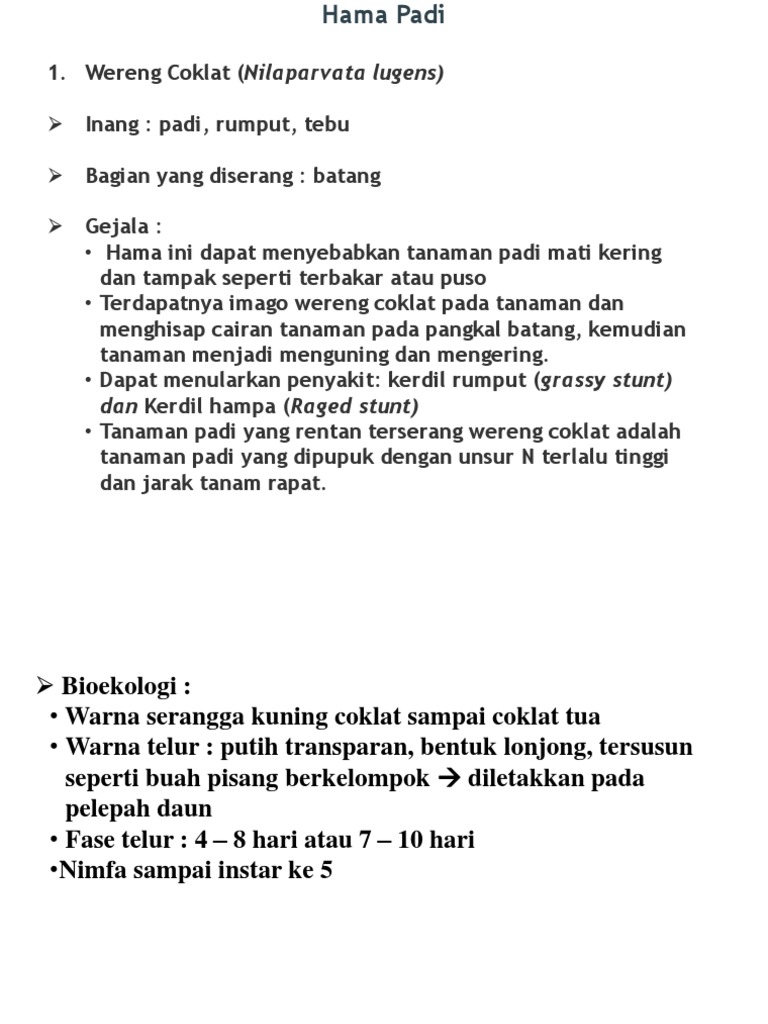 Hama - Padi - PPT | PDF