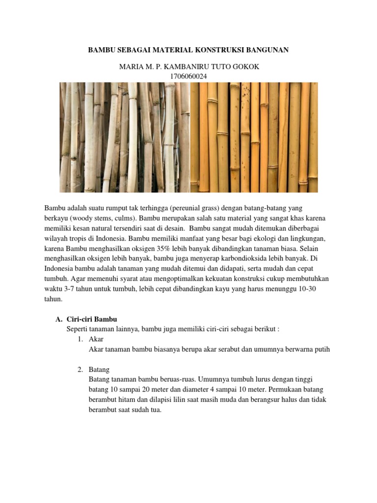 Bambu Sebagai Material Konstruksi Bangunan | PDF