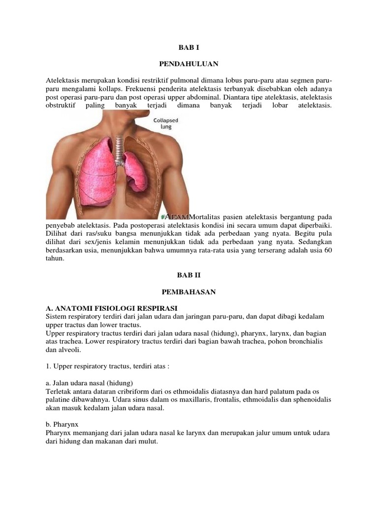 Fisioterapi Dan Atelektasis | PDF