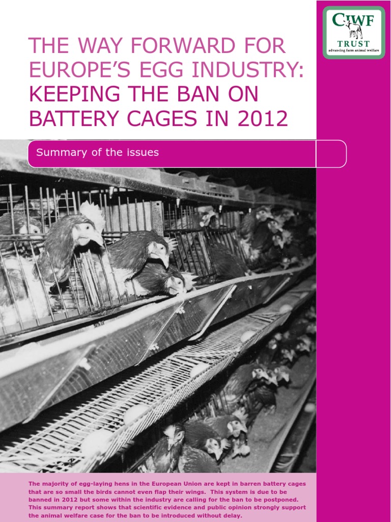 Way Forward Summary | PDF | Animal Welfare | Chicken