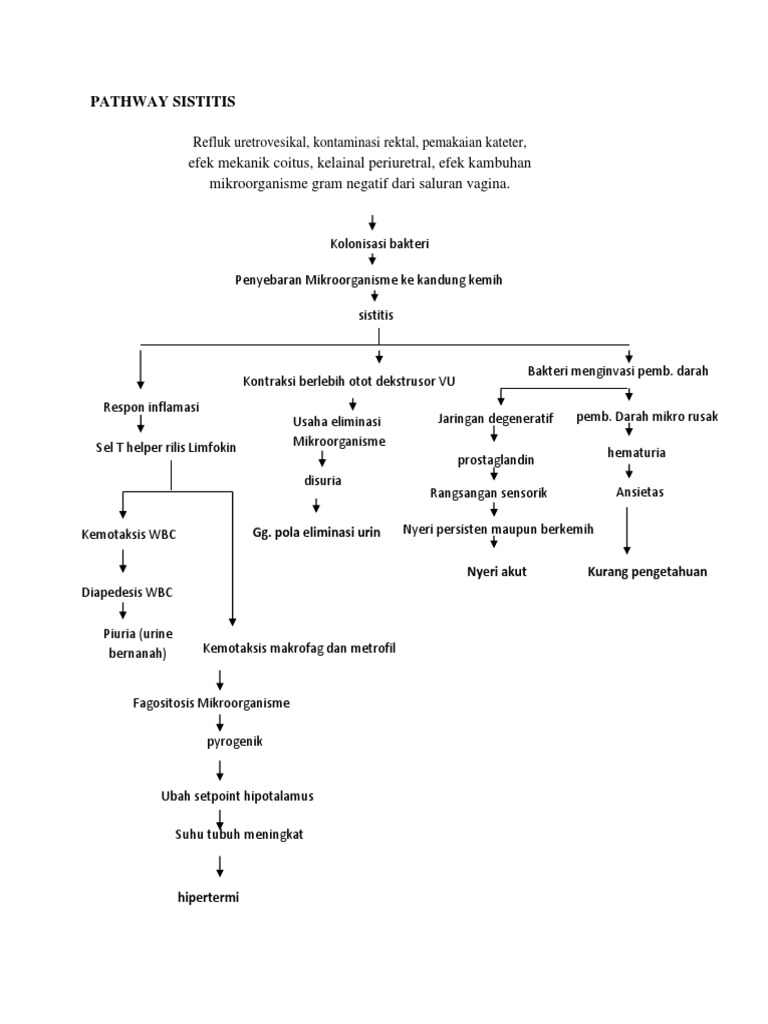Pathway Sistitis | PDF