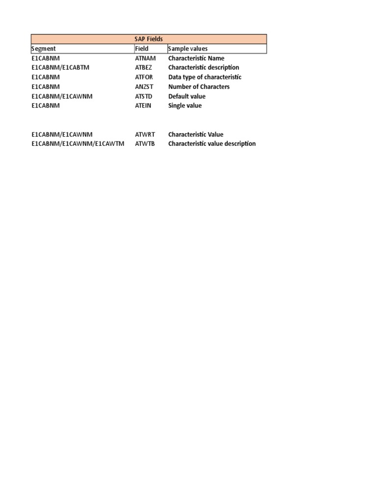 SAP Fields Segment Field Sample Values E1Cabnm Atnam E1Cabnm/E1Cabtm ...